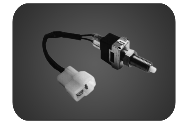 APG Automotive. Switches