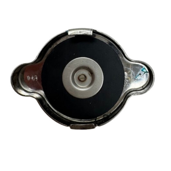 APG Automotive. ECHLIN - T1 - Blank Off Cap - Car Type