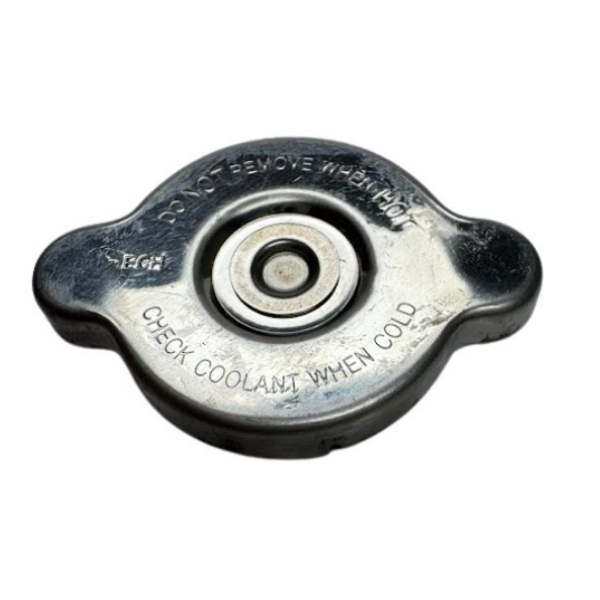 APG Automotive. ECHLIN - T1 - Blank Off Cap - Car Type